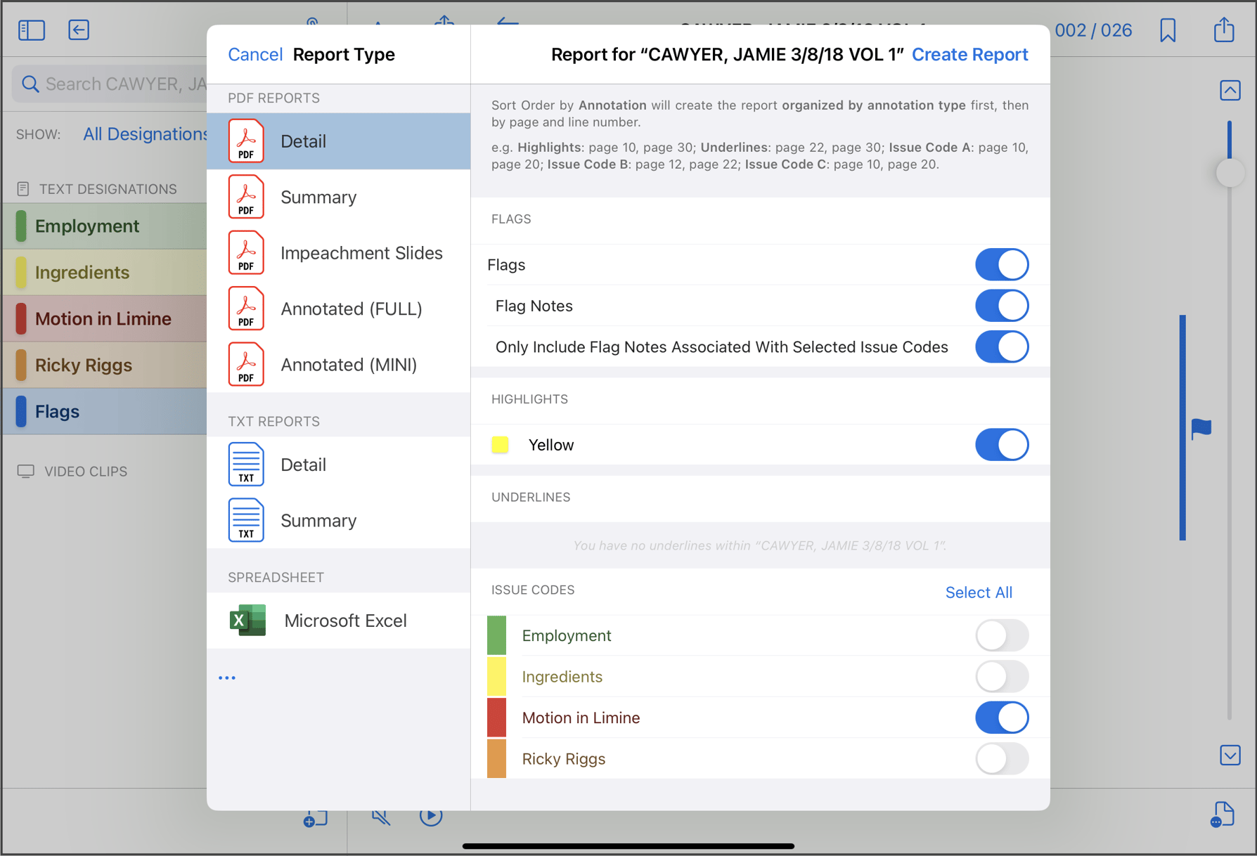 Associate Flags with Issue Codes in TranscriptPad — LIT SOFTWARE
