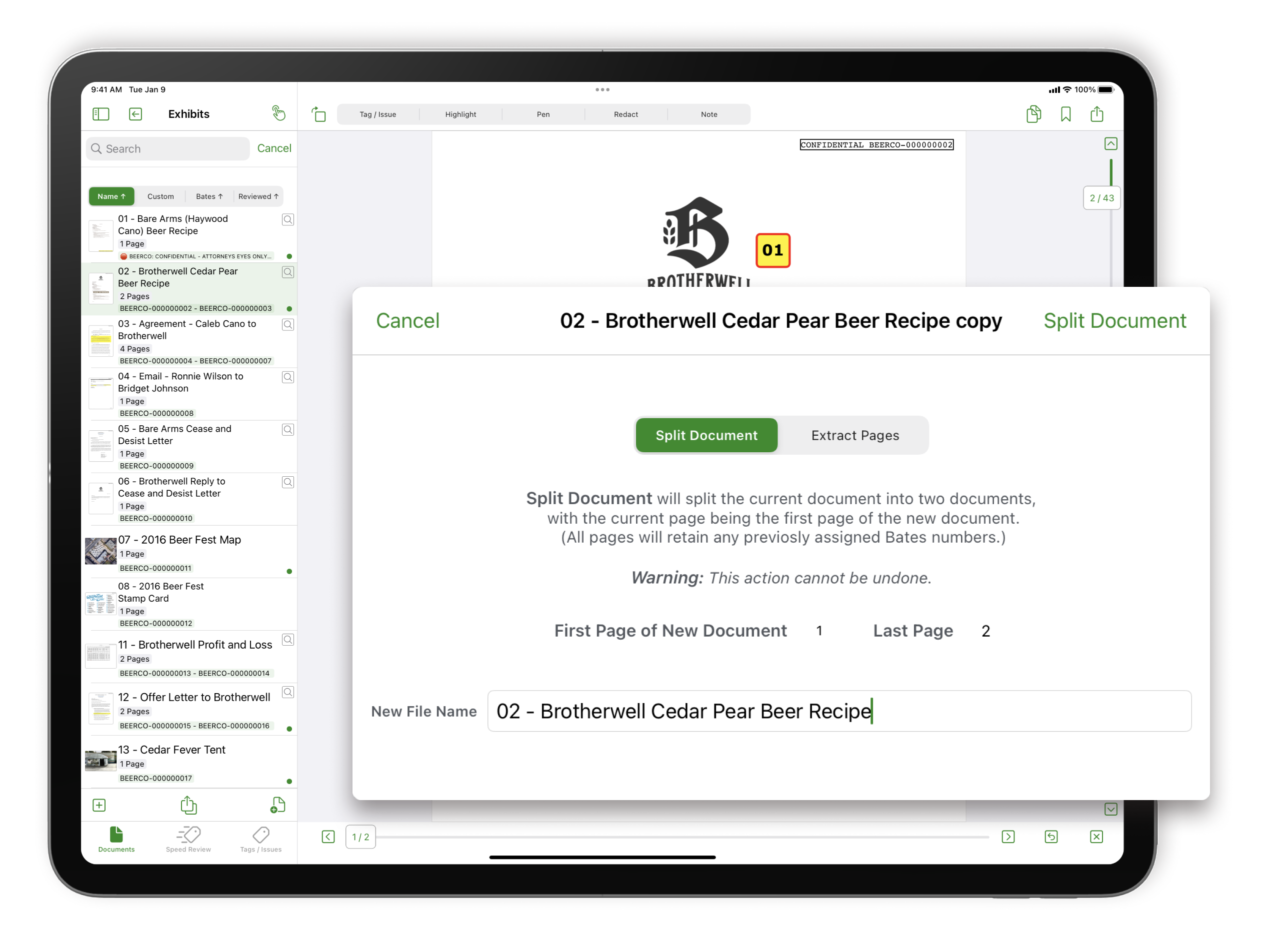 DocReviewPad — Legal Document Review Software